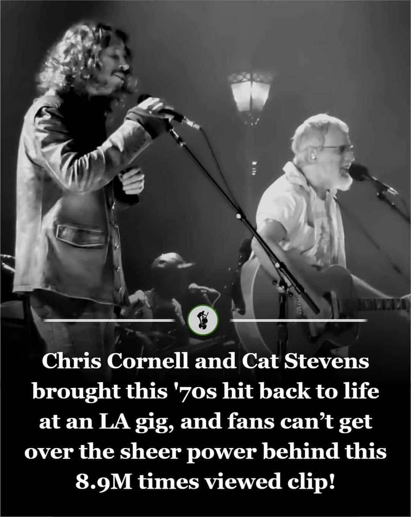 Soundgarden’s Chris Cornell surprises Cat Steven fans singing “Wild ...